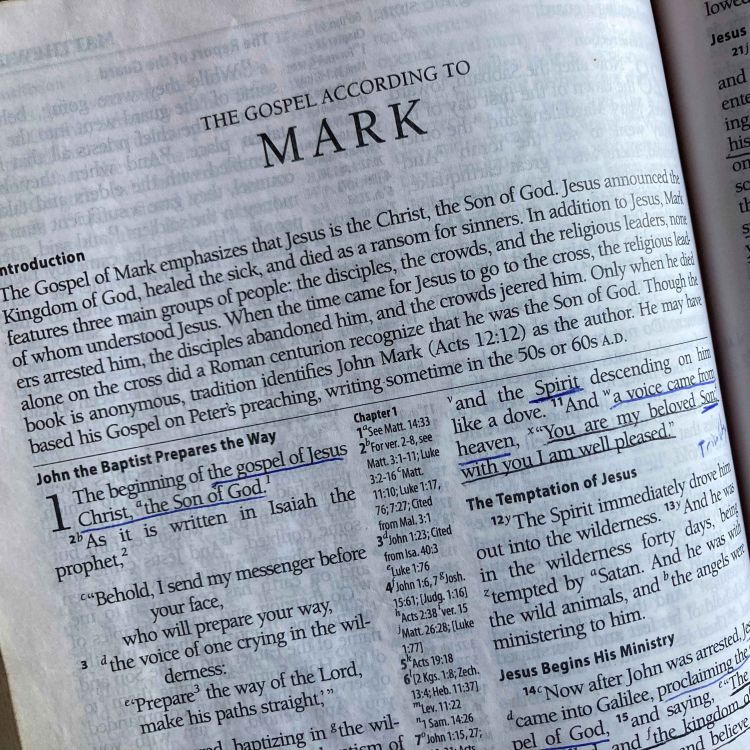 Introduction to Mark - Book of Mark | Acast