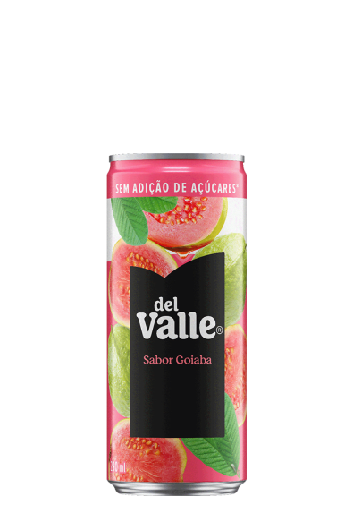 Suco Del Valle Néctar Goiaba Lata 290ml - Pirâmides Distribuidora de ...