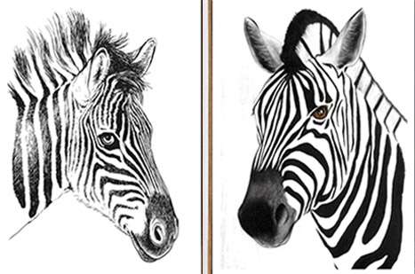 2 dalių paveikslas Zebrai | pirkpaveiksla.lt