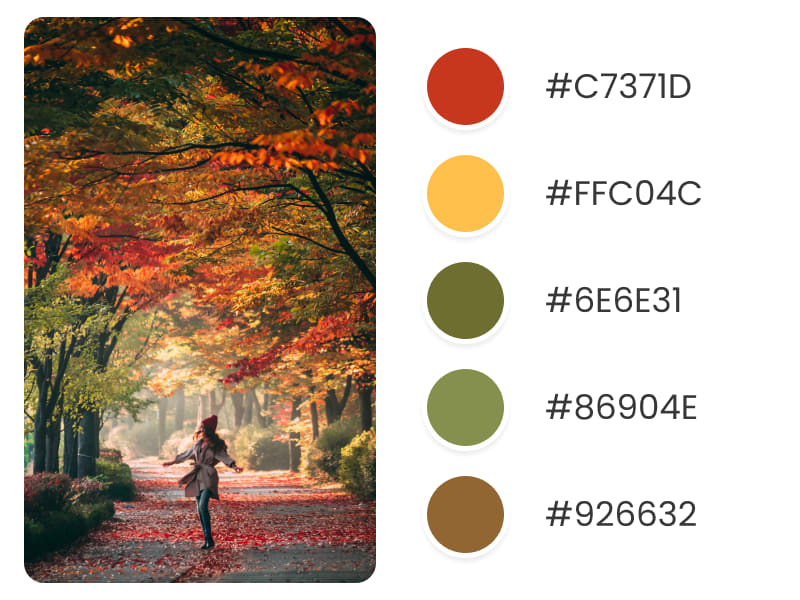 Fall Color Palettes | Discover Perfect Autumn Aesthetic | Placeit