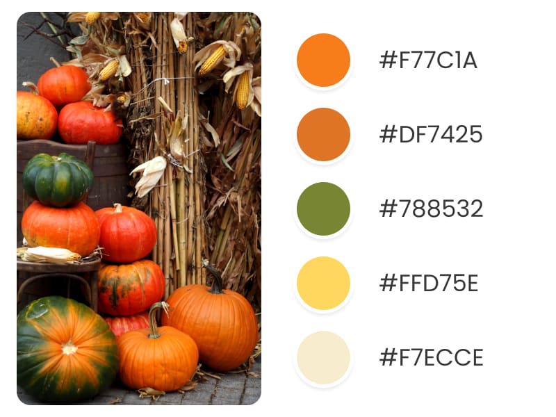Fall Color Palettes | Discover Perfect Autumn Aesthetic | Placeit
