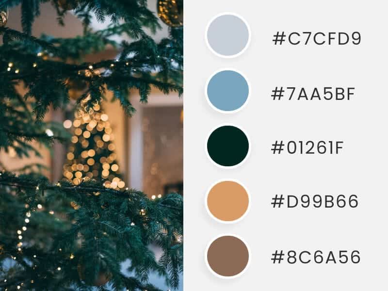 Best Winter Color Palettes | Placeit