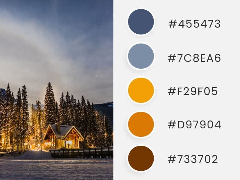 Best Winter Color Palettes | Placeit