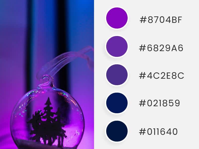 Best Winter Color Palettes | Placeit