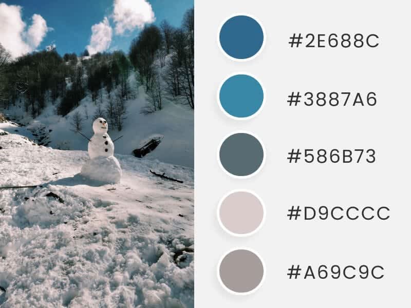 Best Winter Color Palettes | Placeit