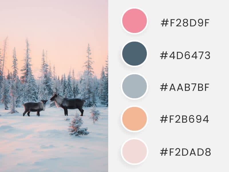 Best Winter Color Palettes | Placeit