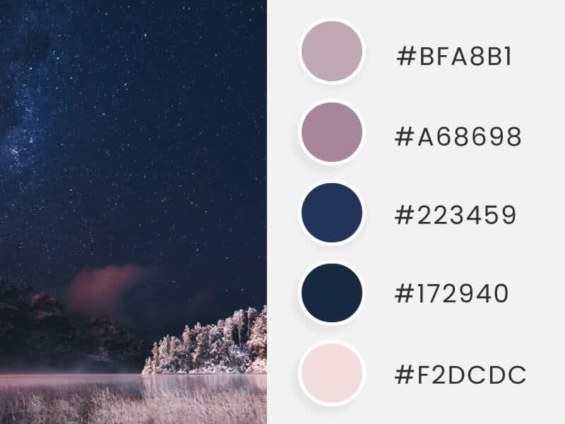 Best Winter Color Palettes | Placeit