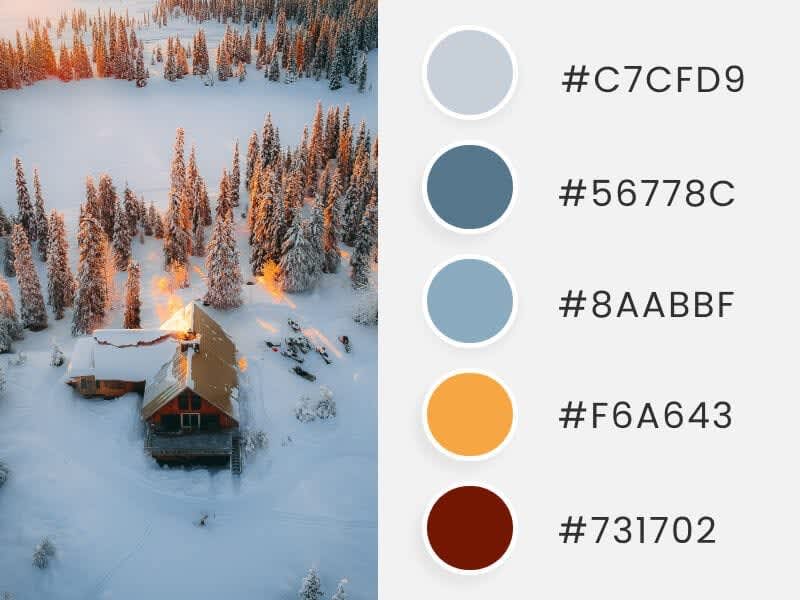 Best Winter Color Palettes | Placeit