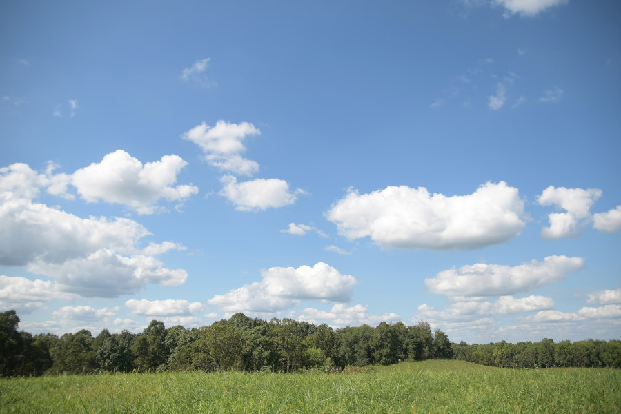Lorene Martin in Homer City, PA | Plain Direct Lorene Martin in Homer City, PA | Plain Direct