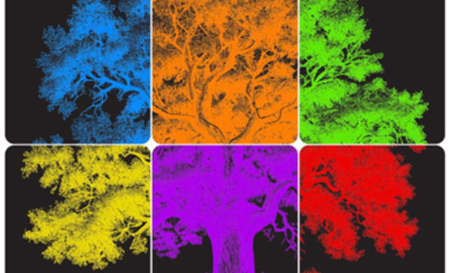 Color etching technology for dark plastic surfaces - News at Plastech ...