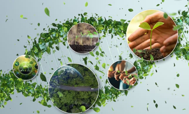 CDP again recognizes BASF for climate and environmental action - News ...