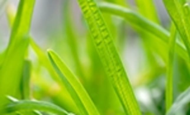 BASF stawia na Ecovio i Ecoflex - Wiadomości - Wortal Plastech