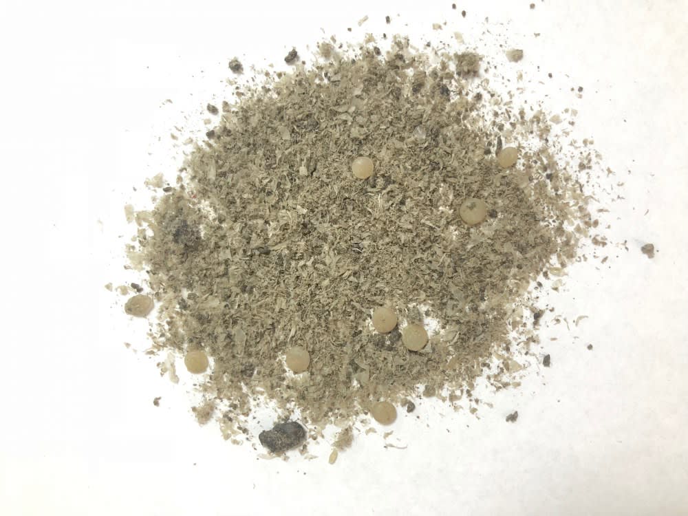 Aglomerat LDPE PP (Oferta nr 107187) - Oferty B2B - Wortal Plastech