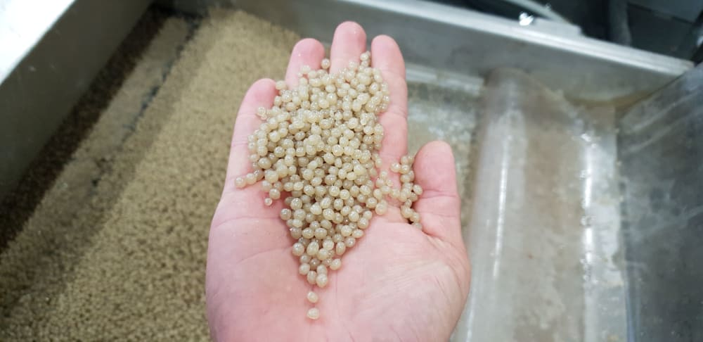 PS regranulate (Offer No. 124142) - B2B Offers at Plastech Vortal