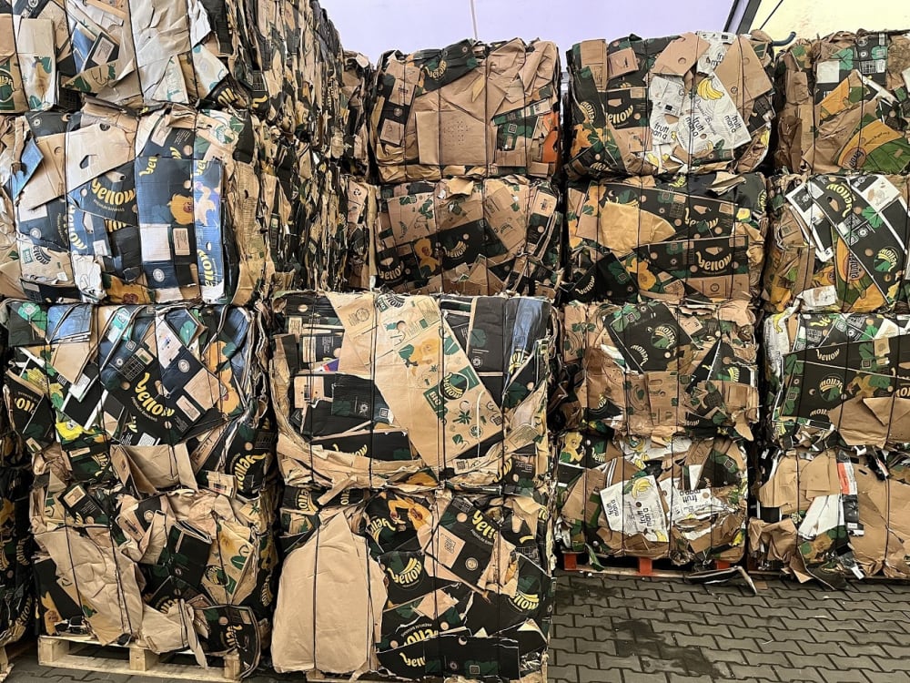 Baled cardboard waste paper (Offer No. 128760) - B2B Offers at Plastech ...