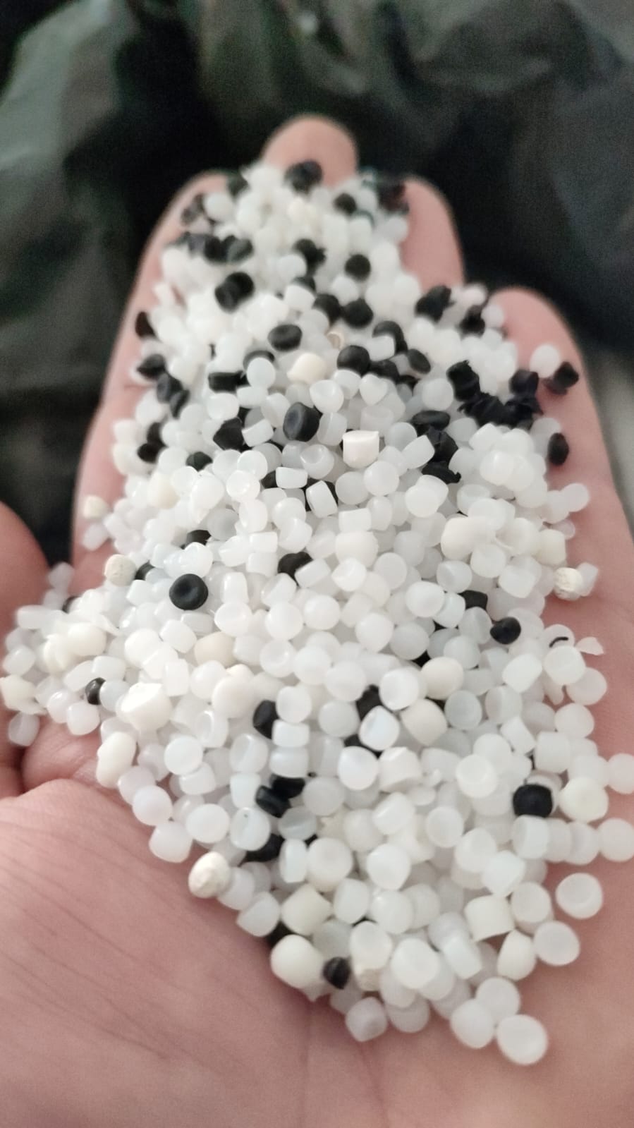 HDPE mix regranulate (Offer No. 129250) - B2B Offers at Plastech Vortal