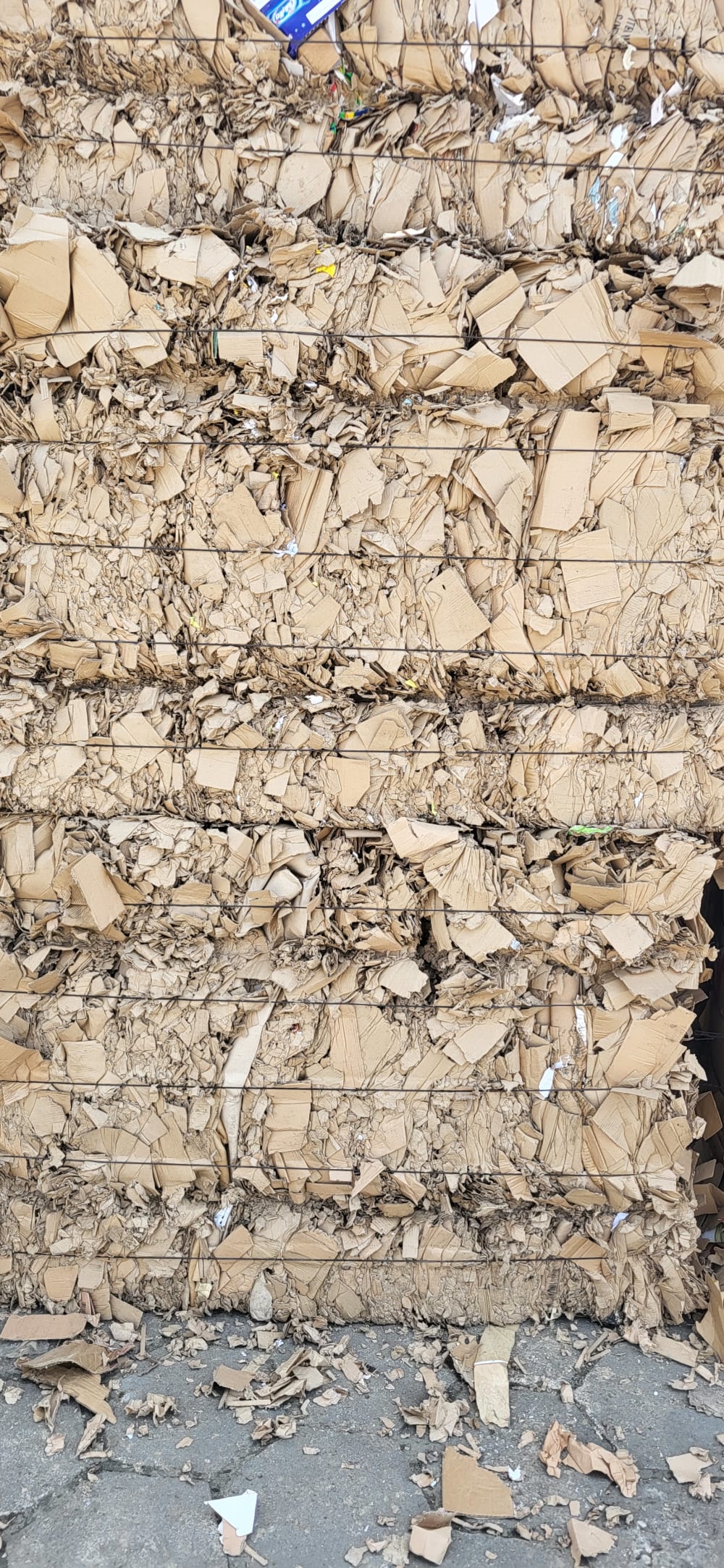 Recycled cardboard post-production (Offer No. 129685) - B2B Offers at ...