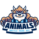 Victorian Amateur Football Association (VAFA) 2024 teams for Wattle ...