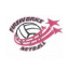 Fireworks Netball Club | PlayHQ