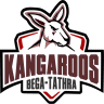 Pambula Panthers Under-15s Boys v Bega-Tathra Roos SpecSavers U15 Boys ...