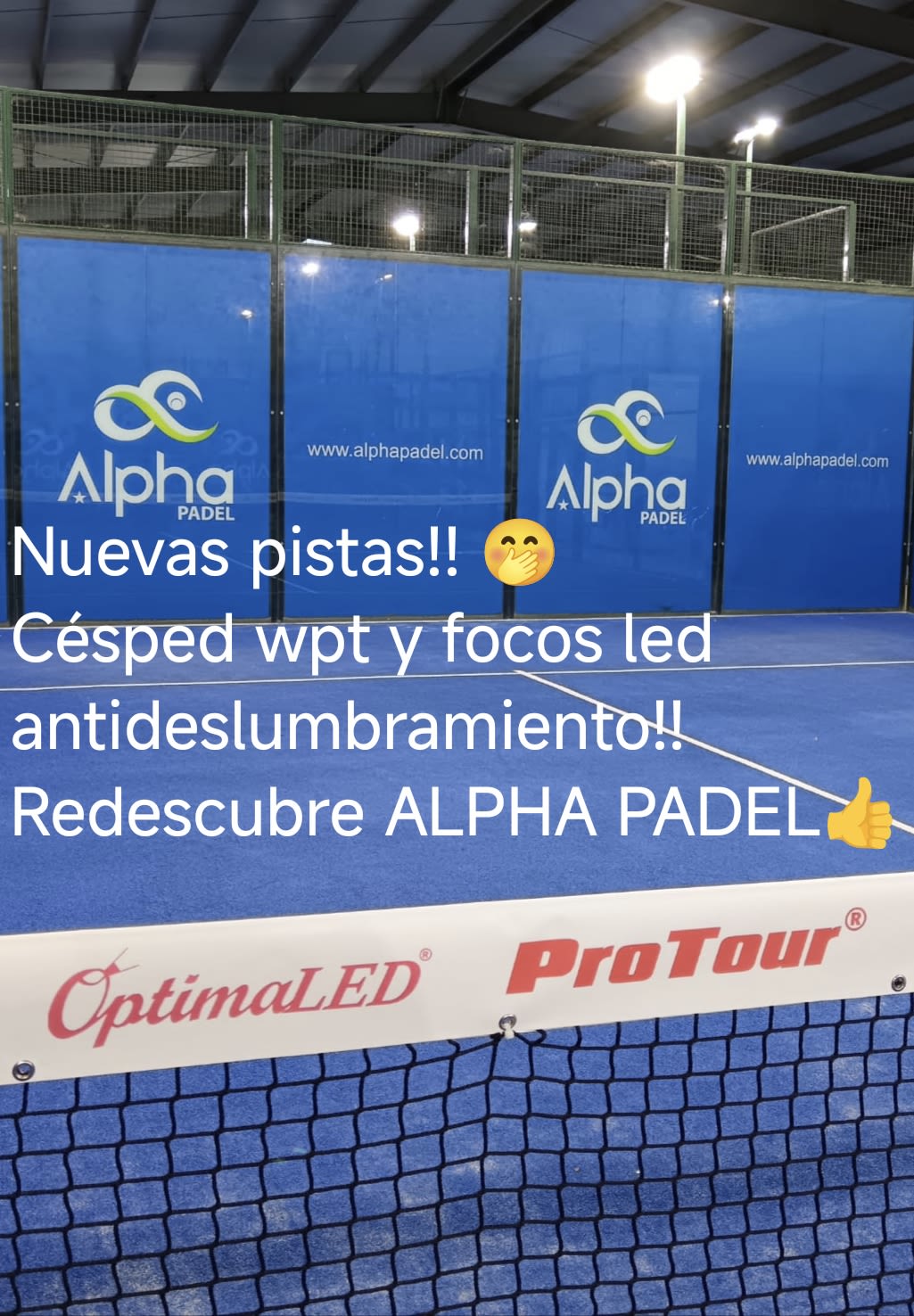 Book a court in Alpha Padel | Playtomic