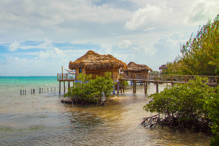 Thatch Caye