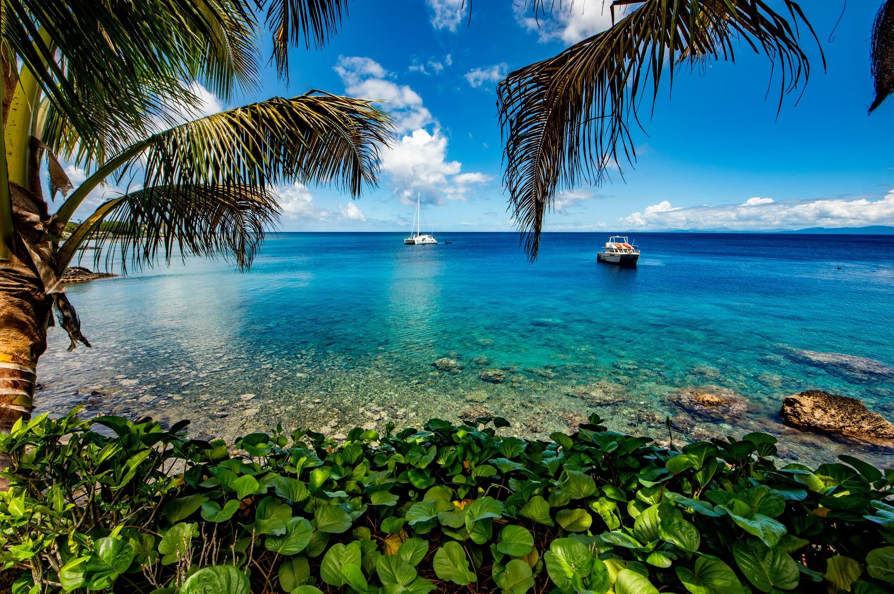 Taveuni, Fiji - Deals