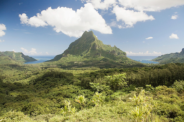 Moorea Vacations & Things to Do | Pleasant Holidays