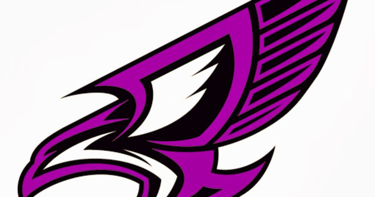 CHAAMP Hawks 3-Point Challenge - PledgeIt.org