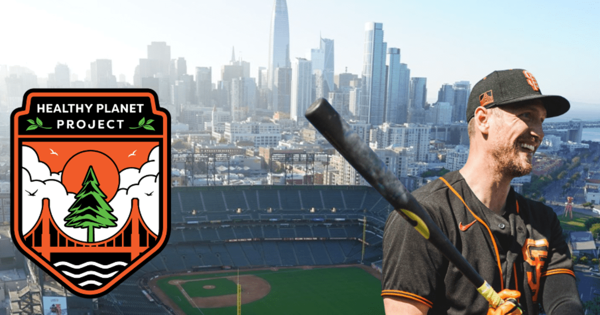 Support Going to Bat for the Bay | PledgeIt for Charities