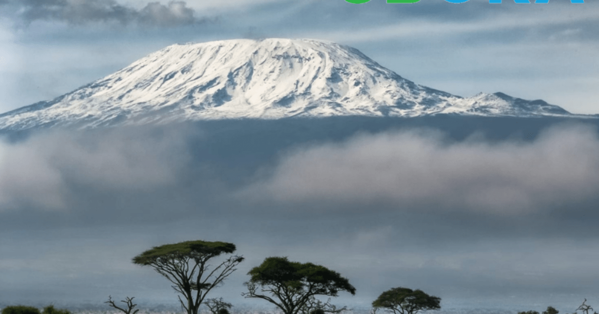 Support Climbing Kili for Karansi | PledgeIt for Charities
