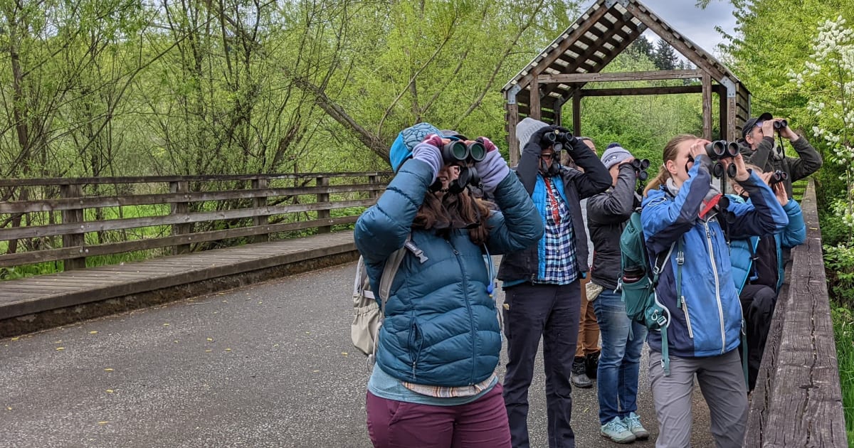 Support Birds Connect Seattle Birdathon 2024 | PledgeIt for Charities