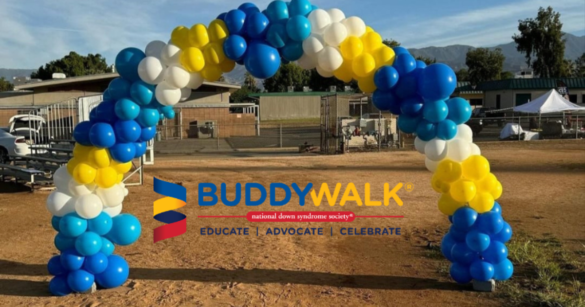 Support 2025 Down Right Blessed Foundation Buddy Walk | PledgeIt for ...