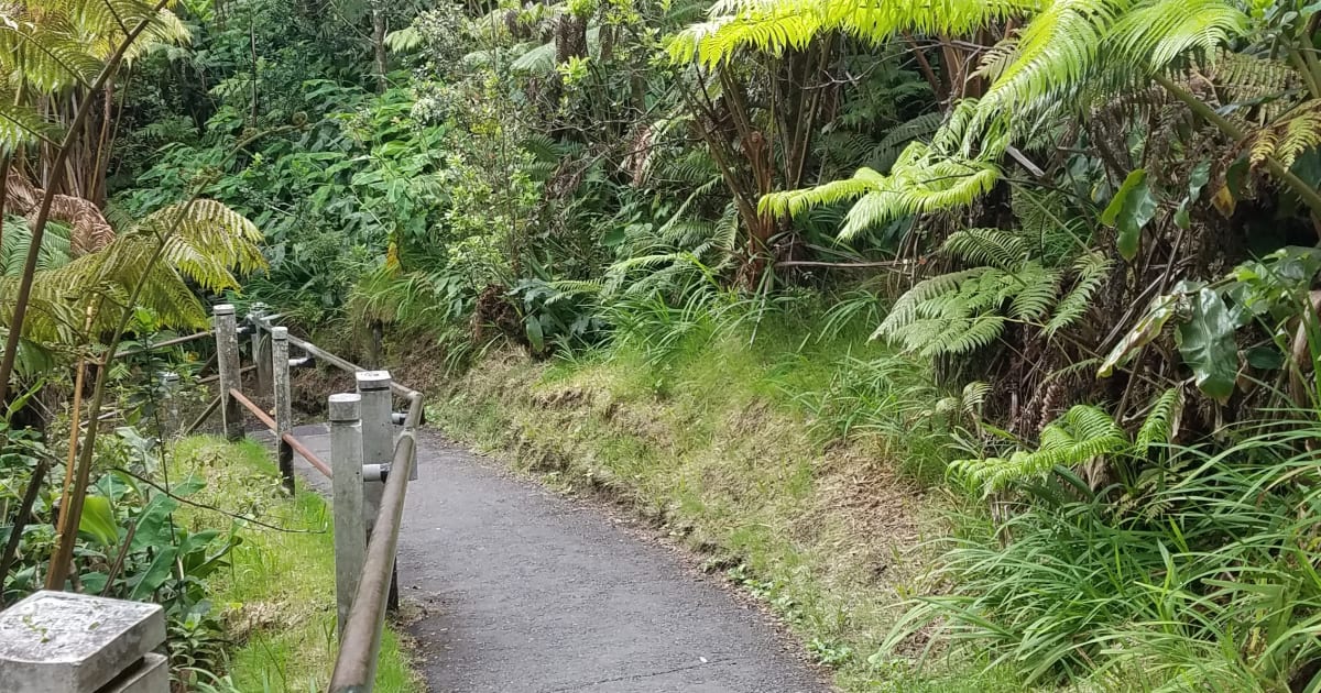 Support Nancy Neubauer - 2023 Mobility May | PledgeIt for Charities