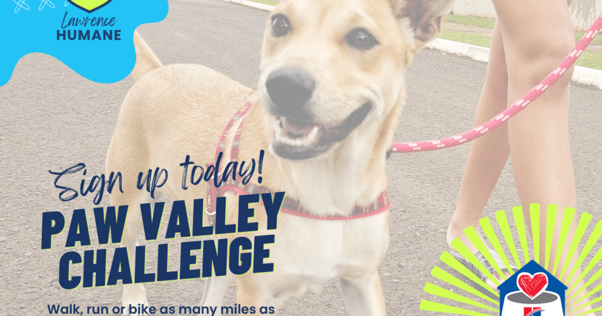 Support 2025 Paw Valley Challenge | PledgeIt for Charities