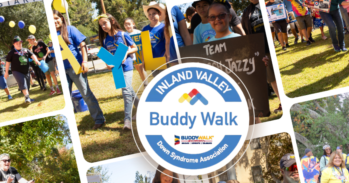 Support IVDSA Buddy Walk '25 | PledgeIt for Charities