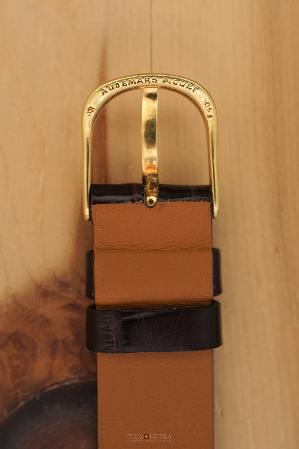 Big Size Ellipse: Golden Sand-Dial & Toucan-Four | Plus Ultra AG