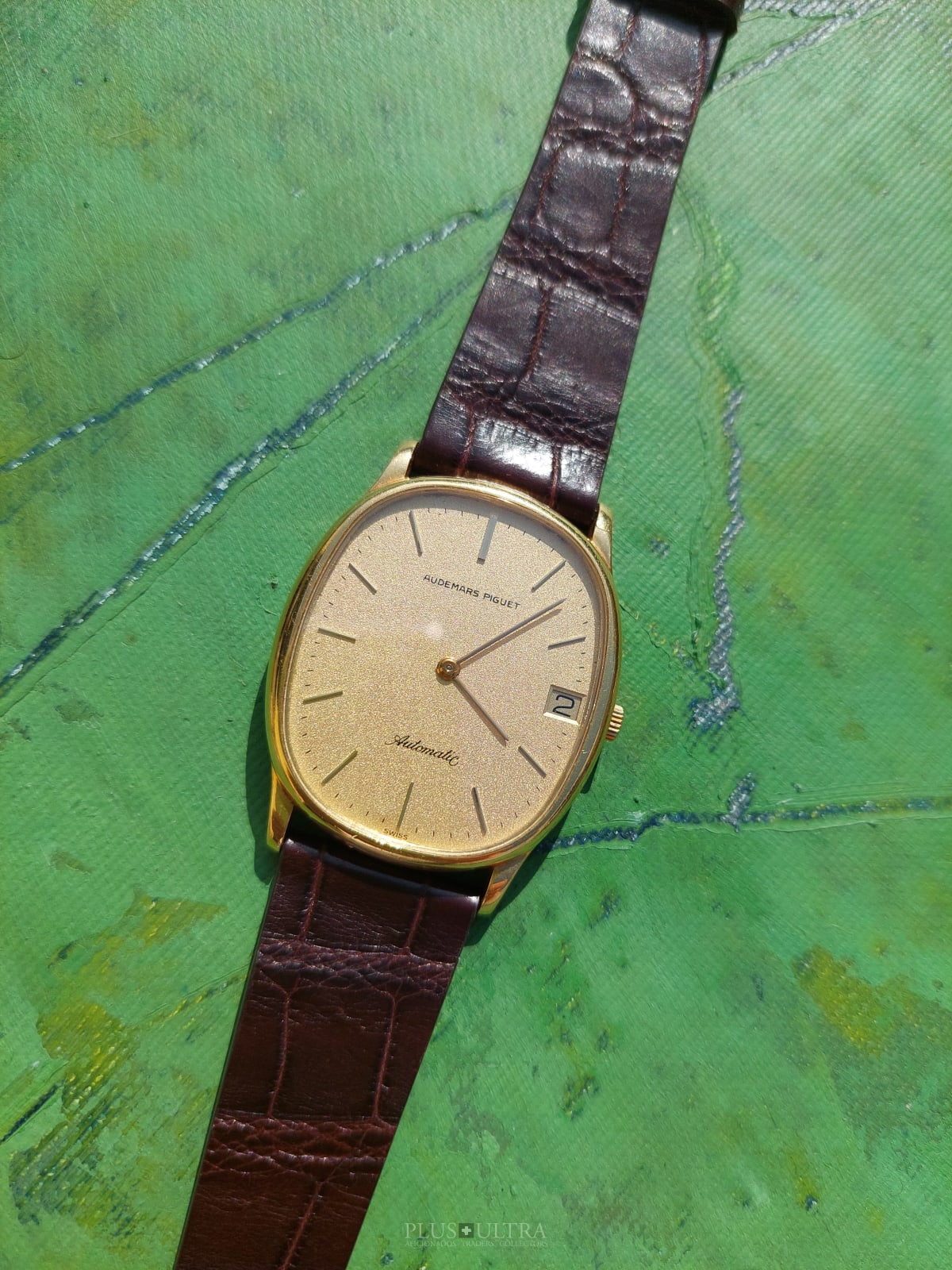 Big Size Ellipse: Golden Sand-Dial & Toucan-Four | Plus Ultra AG