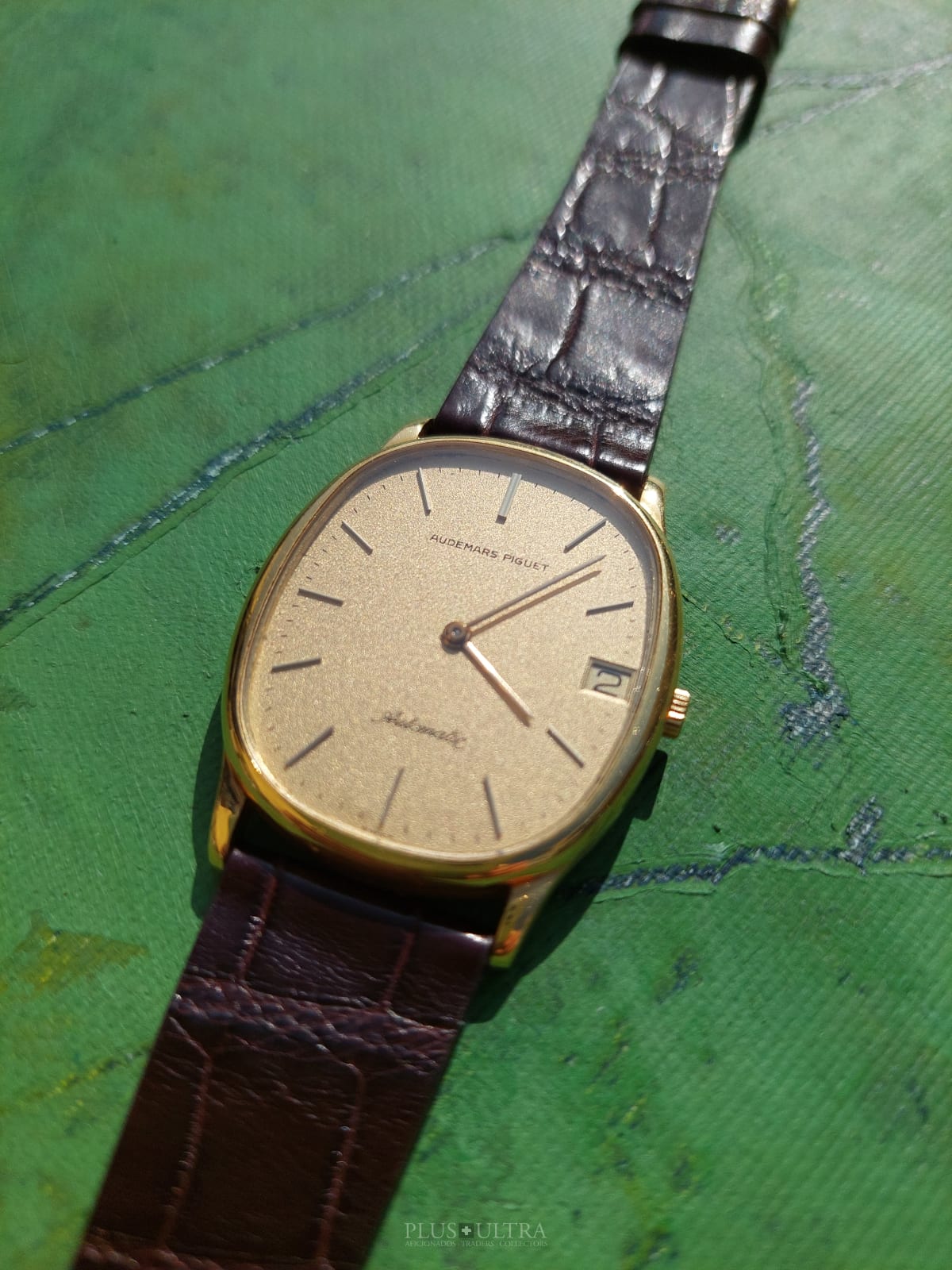 Big Size Ellipse: Golden Sand-Dial & Toucan-Four | Plus Ultra AG