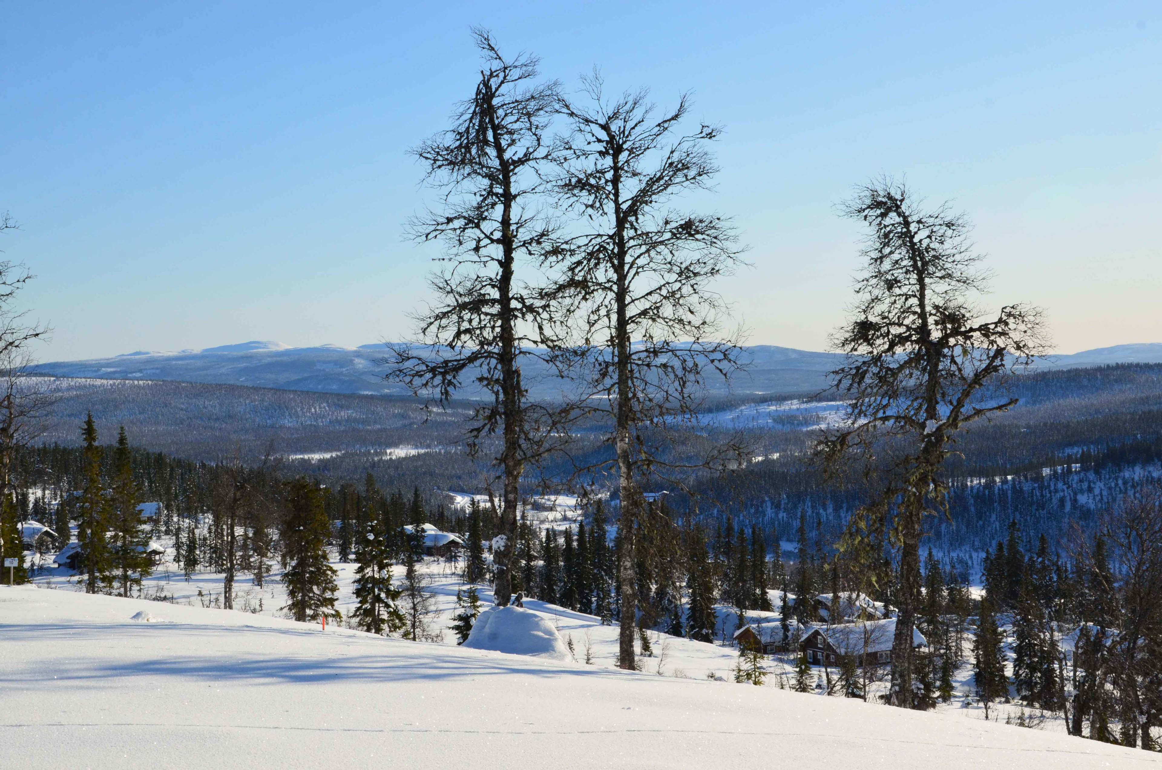 Trysil Knut Panorama | Faun Tomter