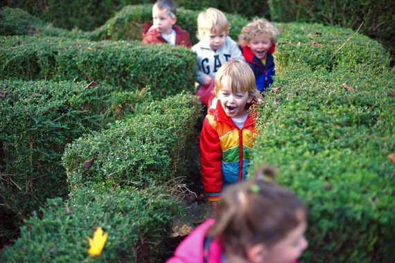 The Elizabeth Foundation example