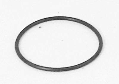 Waterway Clearwater II Cartridge Filter Parts (2006–Present)