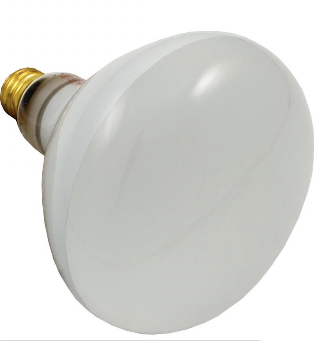 Pentair PacFab Pool Star/Hatteras Pool Light Parts