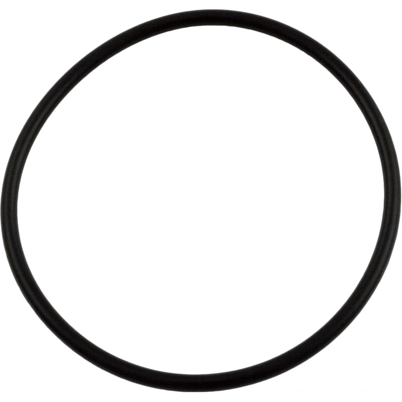 Pentair Challenger Pool Pump Parts