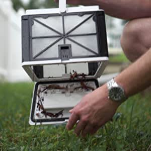 Dolphin Nautilus CC CleverClean Robotic Cleaner