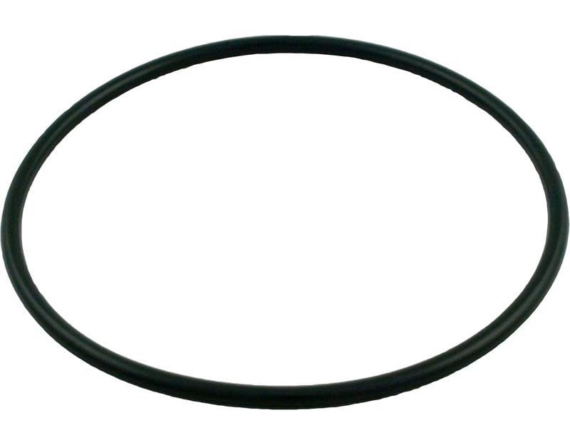 Hayward CLX200K Chlorinator Lid O-Ring