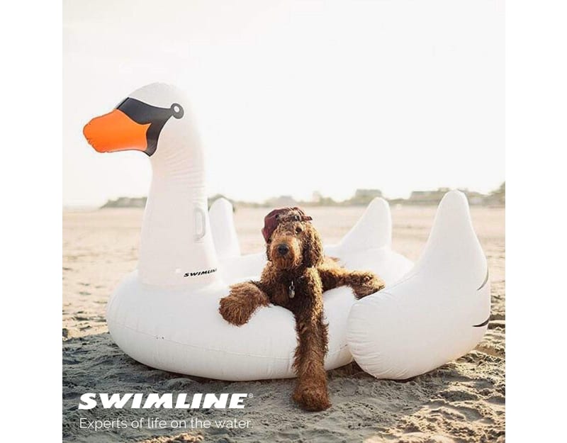 Giant Swan Pool Float | Swimline Pool Floats | PoolZoom