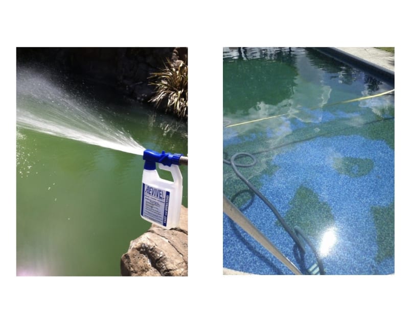 API Revive | Swimming Pool Phosphate Remover | PoolZoom