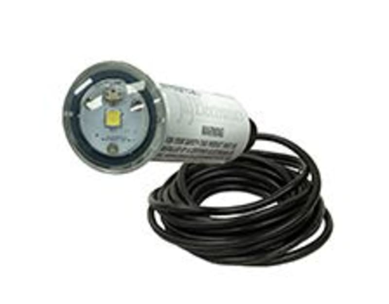 12V 20W 100' Halco Nicheless LED Cool White