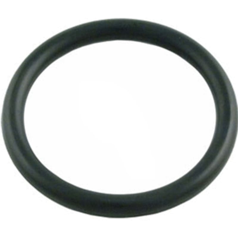 AH Series Pump Seal Flange O-Ring